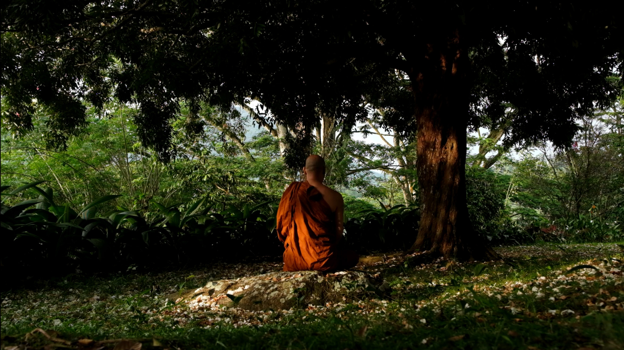 Arathi | Arathi Spiritual Centre